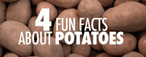 4 Fun Facts About Potatoes – AYNILists